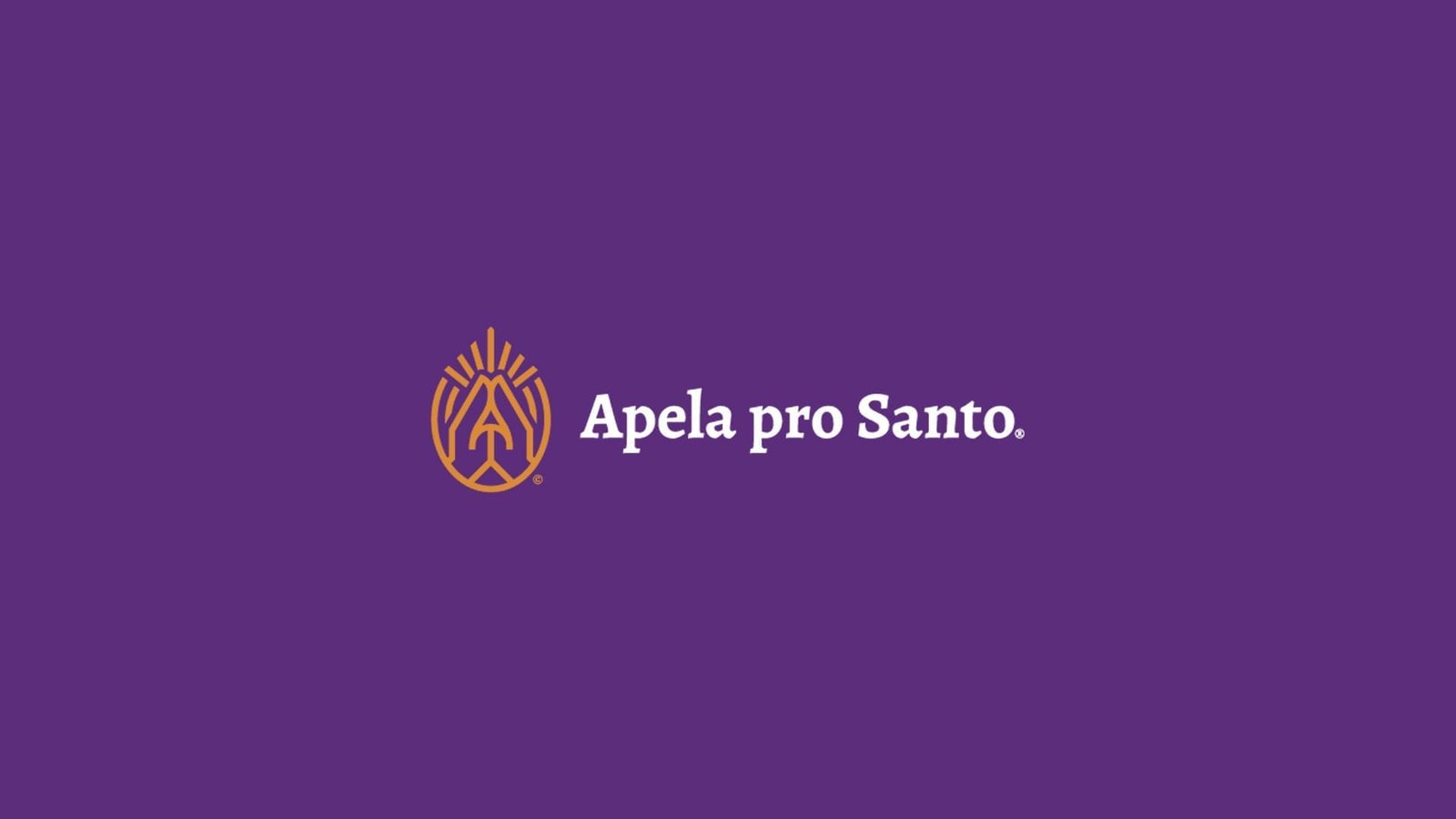 Conheça o Apela pro Santo - Volume 1 • Apela pro Santo